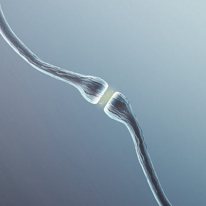 Jod: Wirkung, Bedarf & Lebensmittel mit Jod | myFairtrade